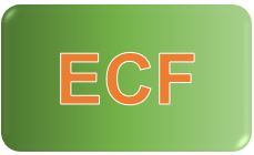 Examen de Conformité Fiscale (ECF)